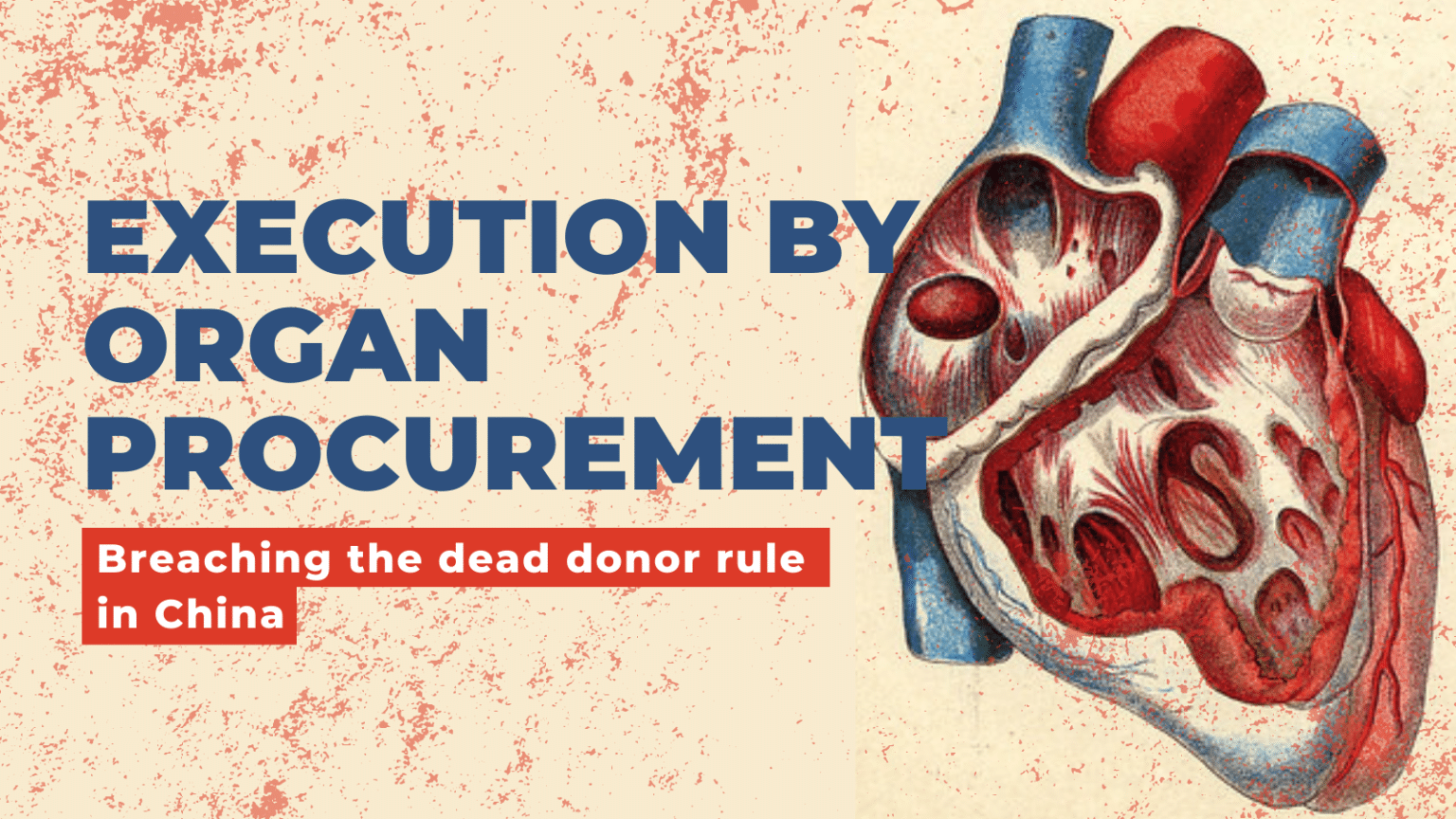 Execution by Organ Procurement | Victims of Communism Memorial Foundation