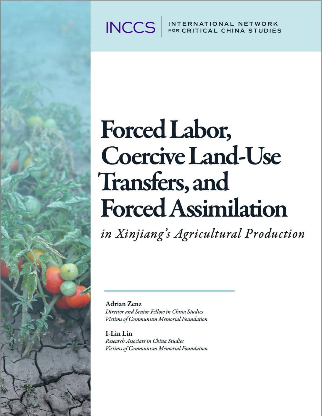 VOC Report Sheds New Light on Forced Labor-Tainted Goods in China